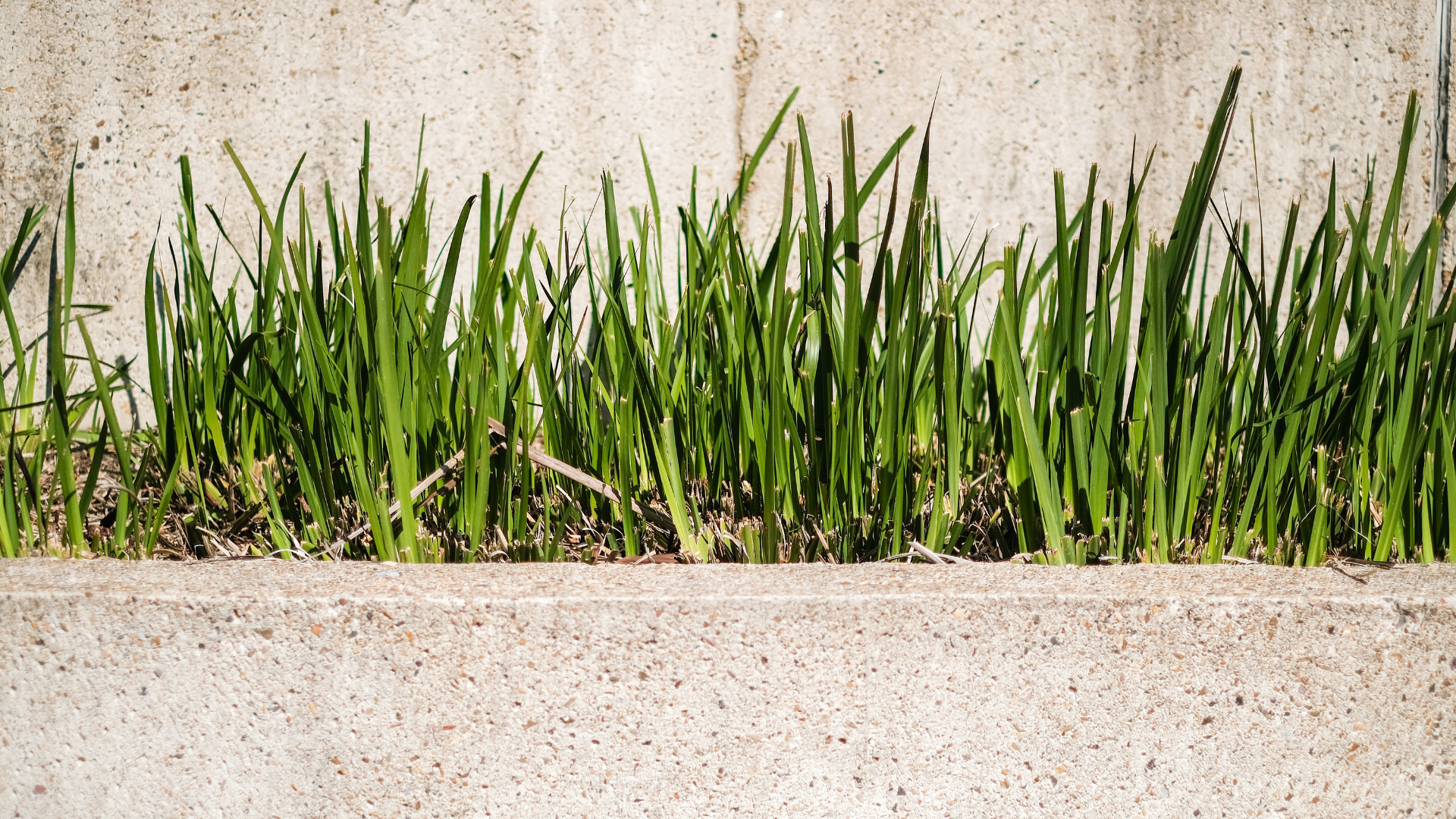 3 Sustainable Reasons to Choose Precast Concrete Products - Boccella ...